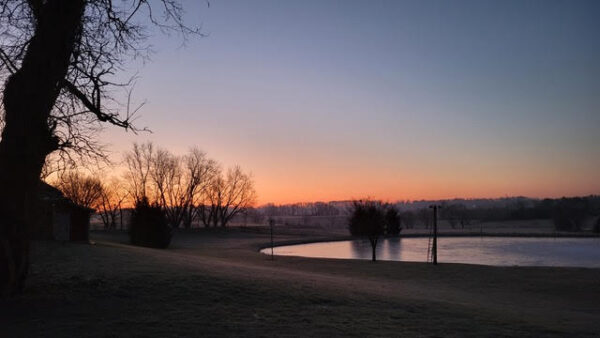 Springwood Organic Farm – Grassfed Vitality