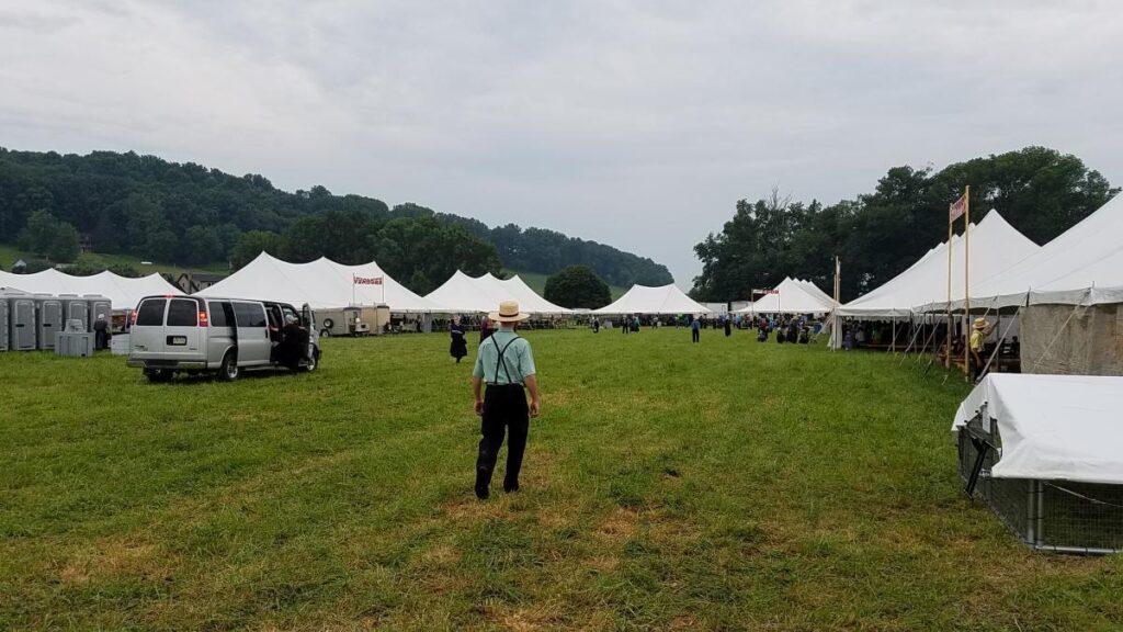 Springwood Organic Farm – Grassfed Vitality